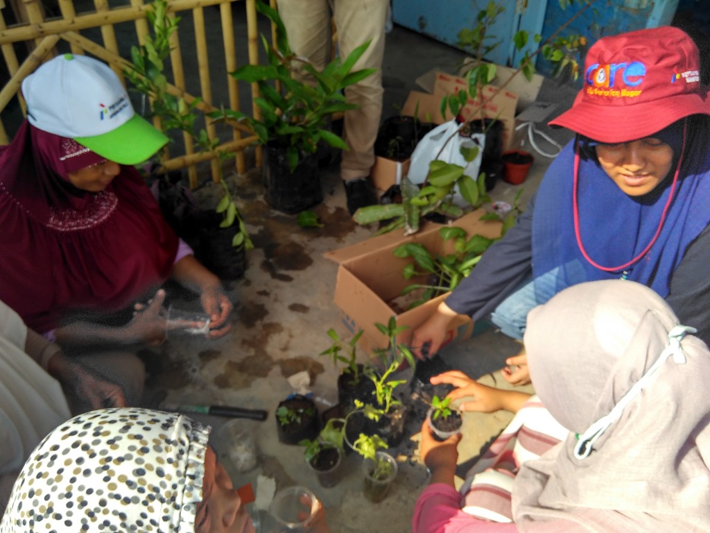 Pelatihan Pemanfaatan Sampah untuk Budidaya Toga dan Sayuran di Desa ...